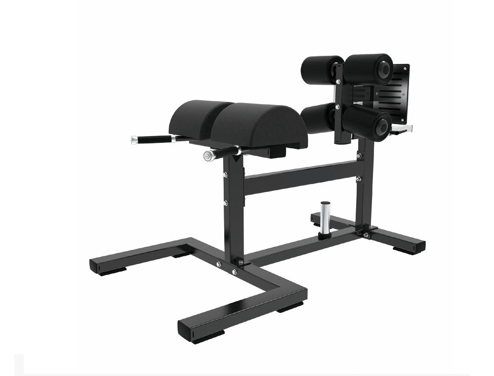 DZ 31 HORIZONTAL ROMAN CHAIR